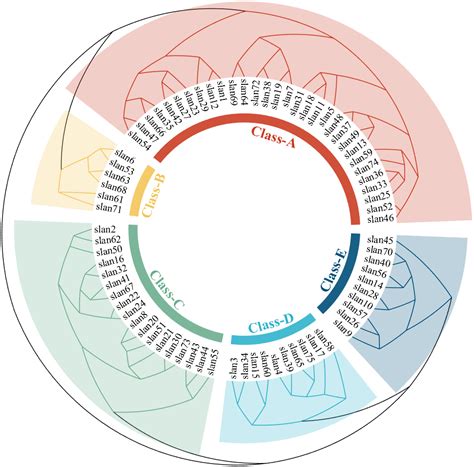 Matlab 超多样式聚类分析树状图任你选择~~matlab聚类效果图 Csdn博客