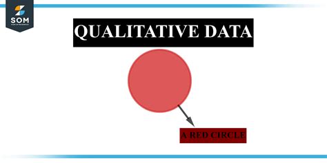 Qualitative Data Definition And Meaning