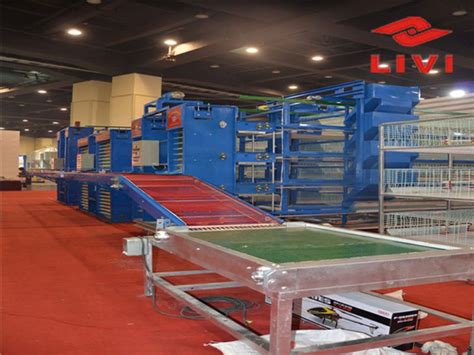 Egg Collection System For Laying Hens Automatic Poultry Cage Breeding