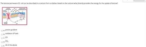 solved arsenate is structurally and chemically similar to