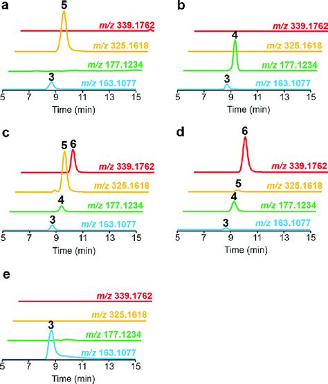 Lc−esi Hrms Analysis Of Conversions By Hygf And Hygm In Vitro 2 Dos Download Scientific