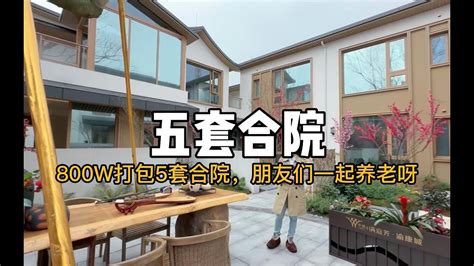 精致养老合院，兄弟姊妹伙们，我们一起养老吧！房产达人房产知识 Youtube