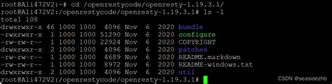 linux学习之ubuntu 20 04在 下载源码安装openresty 1 19 3 1，使用