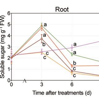 The Root System Architecture Of Rice With Different Treatments At Download Scientific Diagram