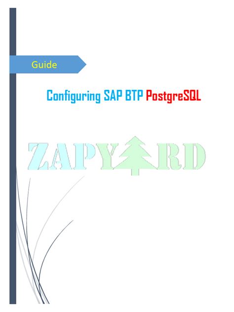 Configuring Sap Postgresql Db In Btp Pdf