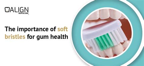 The Significance Of Soft Bristles For Gum Health And Proper Oral