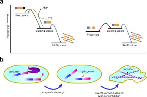 Fig Ure 4 Examples Showing Methods For Biologically Regulated