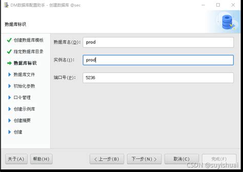 使用dbca工具创建实例dbca创建实例 Csdn博客