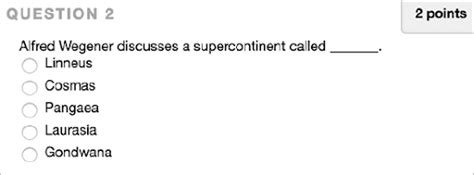 Mcq Question Paper Format In Word