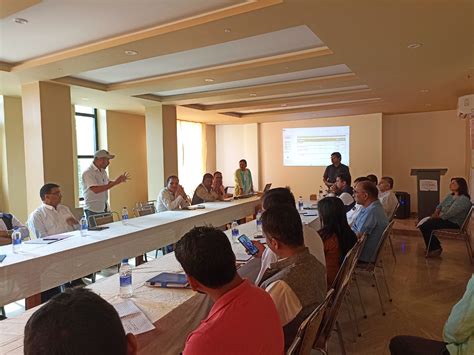 plgsp transitional provincial annual strategic implementation plan p asip pre planning