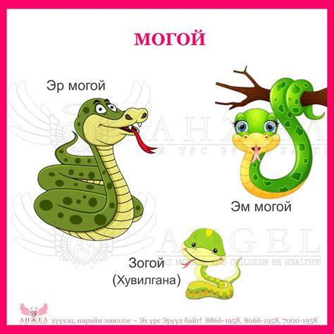 Хэрэгтэй Хэвлэл 😍🥰😇Амьтдын үр төл эрэгчин эмэгчин