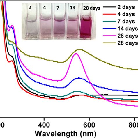 Uvvis Nir Spectra Of The Supernatant And Lysed Solutions Of Bm Mscs