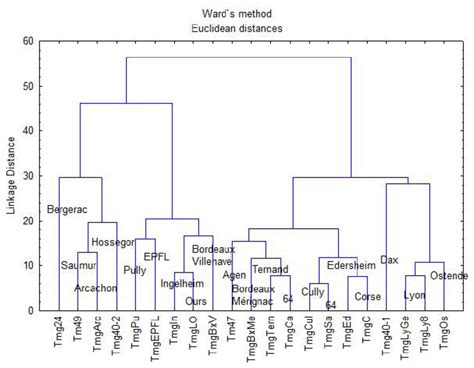 dendrogram with euclidean distances and ward method on for tapinoma