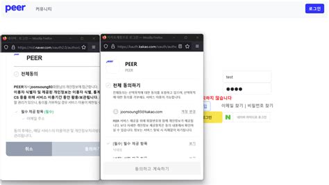 github hwangjoonsoung peer