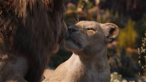 Lion King 2019 Simba And Nala Love Me Like You Do Youtube