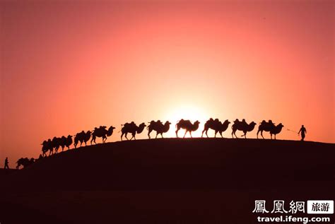 高清：雁叫长空 沙漠驼铃声声响旅游频道凤凰网