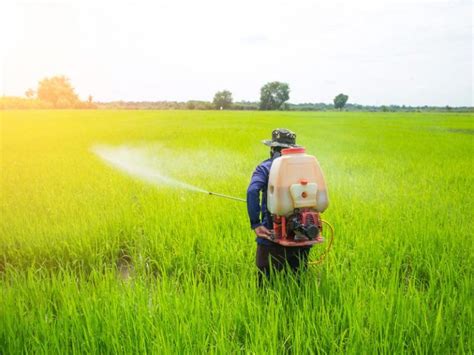 Types Of Insecticides Arborpharmchem