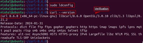 How To Install And Use Curl On Ubuntu Linux Genie