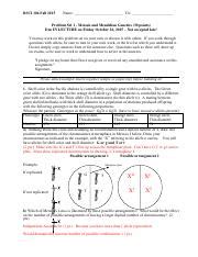 Problem Set Key Meiosis BSCI Fall Name TA Problem Set Meiosis And Mendelian