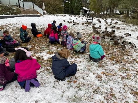 Duck Math École Sauvage
