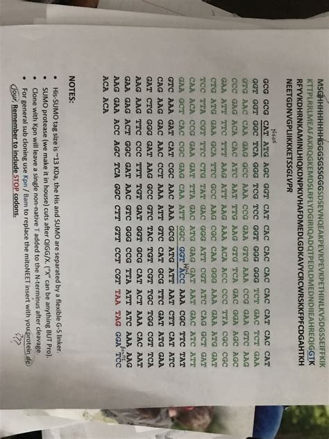 Can 11 Buffer Neb Be Used With A Digest Using Kpn1 And Bamh1