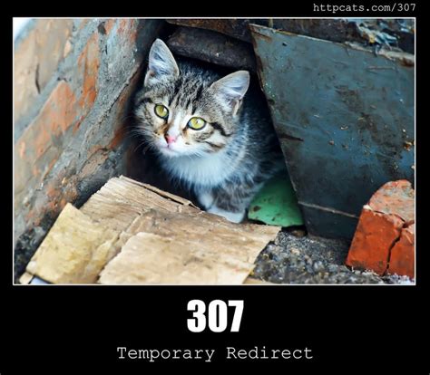 307 Temporary Redirect Status Code And Cats