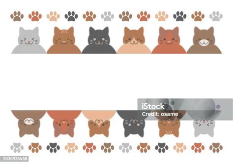귀여운 고양이와 발자국 프레임 벡터 일러스트 레이 션입니다 복고풍 브라운 디자인 갈색에 대한 스톡 벡터 아트 및 기타 이미지 갈색 경계 고양이 새끼 Istock
