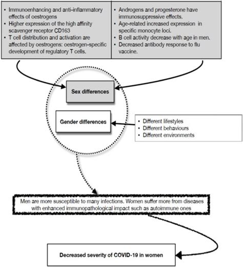 Role Of Sex And Age In Fatal Outcomes Of Covid 19 Women And Older