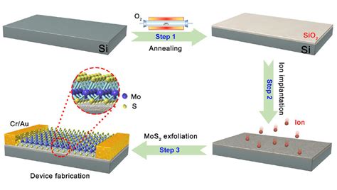 Fabrication Process Of The Mos2 Charge Trap Memory Devices 40 Nm Thick Download Scientific