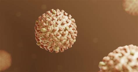 Early Identification Of Ms Risk Using Ebv Antibodies Ms Australia