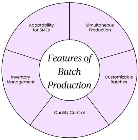 batch production lean six sigma glossary term