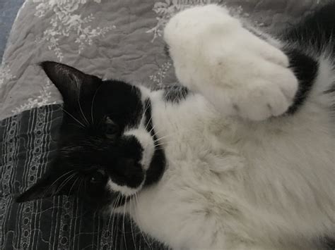 Pin Van Nena Jansen Op Buzzer