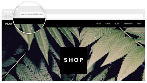 Find And Register Your Domain Name With Shopify