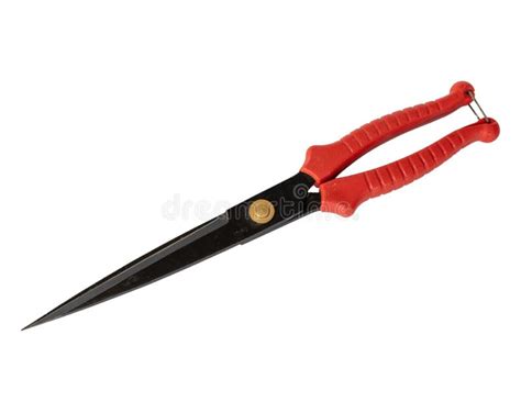 Pruning Tool On A White Isolated Background Stock Image Image Of