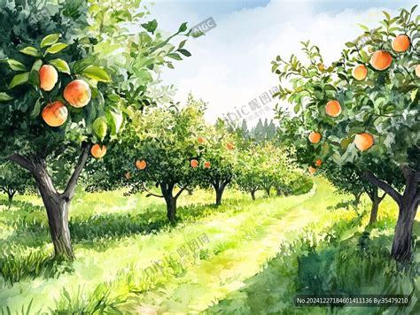 Ai创作图果场插画 果园插画 手绘果园插画 果园手绘插画 果园插画包装 果园宣传插画 手绘田野果园 果园手绘 生态果园插画 芒果采摘园插画 果园丰收插画 黄桃树插画 夏橙园 蟠桃采摘园背景 沃