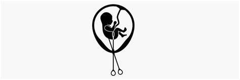 Reproductive Choice A Facet Of Reproductive Rights And Dimension Of Woman S Personal Liberty