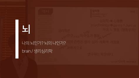 뇌 나의 뇌인가 뇌의 나인가 Youtube
