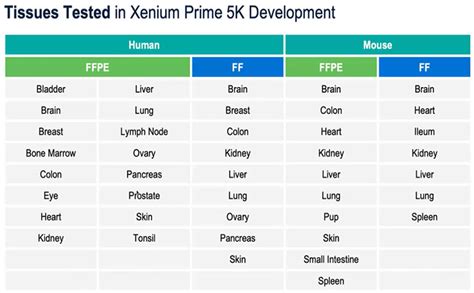 Xenium In Situ Analysis Spatial Service Provider