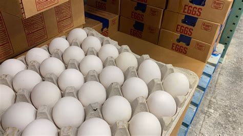Fda Raises Recall Alert To Highest Level On Costco Eggs Over Salmonella Risk Nbc10 Philadelphia