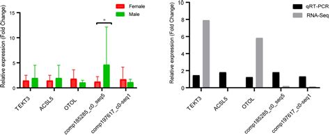 Frontiers Comparative Transcriptome Analysis Revealed Genes Involved