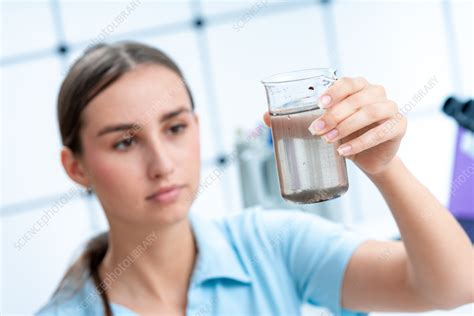 Scientist Analysing Liquid Sample Stock Image F0419460 Science