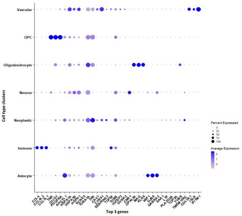 Tumor Heterogeneity And Molecular Characteristics Of Glioblastoma Revealed By Single Cell RNA