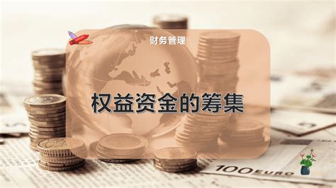 权益资金的筹集word文档在线阅读与下载无忧文档