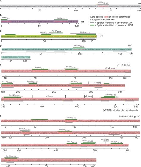 Cell Free Processing Of Hiv 1 Accessory Proteins And Env Yields Epitope