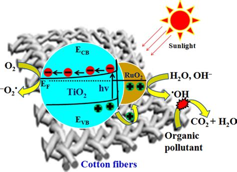 Schematic Diagram Of The Charge Transfer Process In The Ruo2 Tio2 Cotton Download Scientific
