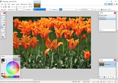 Paint NET 5 1 6 Neowin
