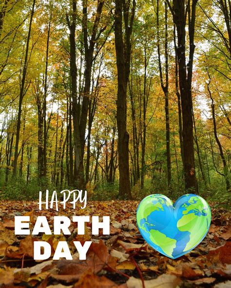 Gerflor Дөрөвдүгээр сарын 22 ны өдрийг Дэлхийн өдөр гэж нэрлэдэг уламжлалтай 🌍 Бид