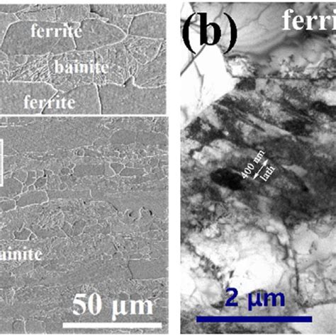Pdf Microstructure And Deformation Behavior Of A Novel Steel Rebar Effect Of The