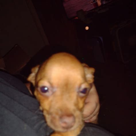 Its Yo Bella Youtube