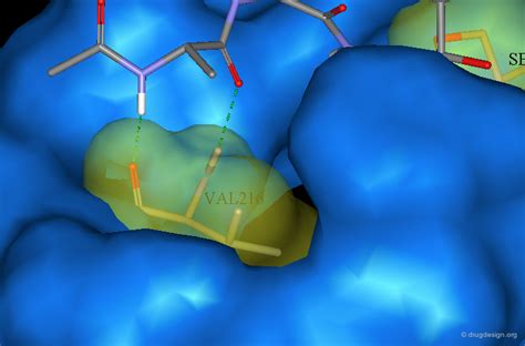 Peptidomimetics Examples Drug Design Org